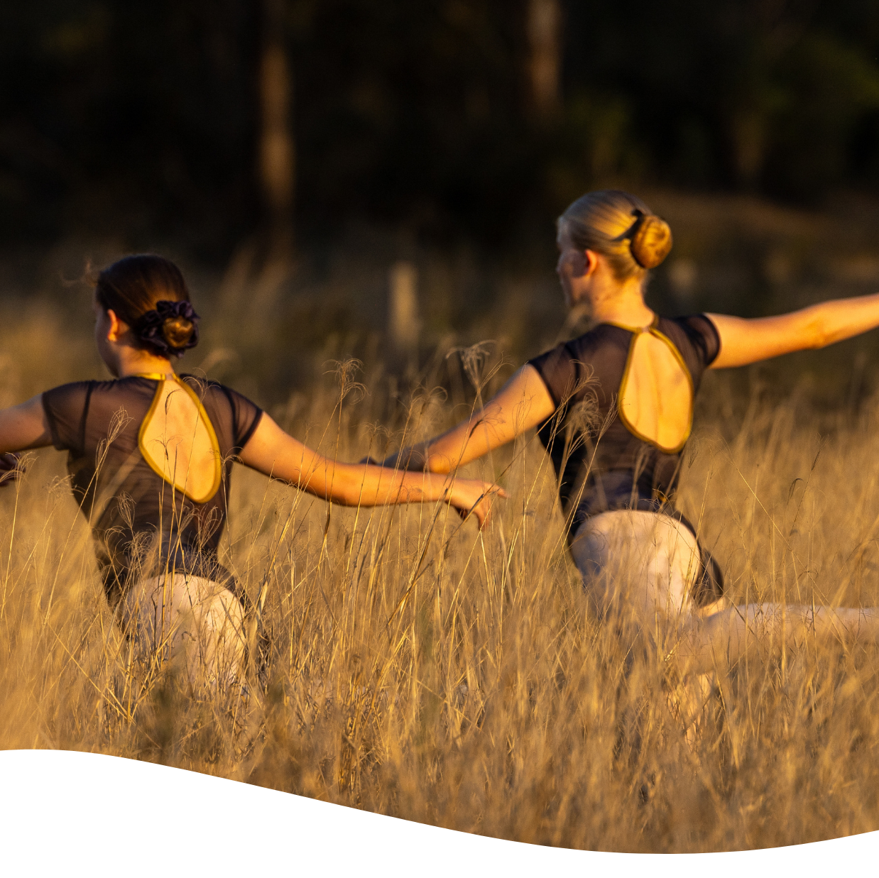 Prospectus – branchesperformingarts