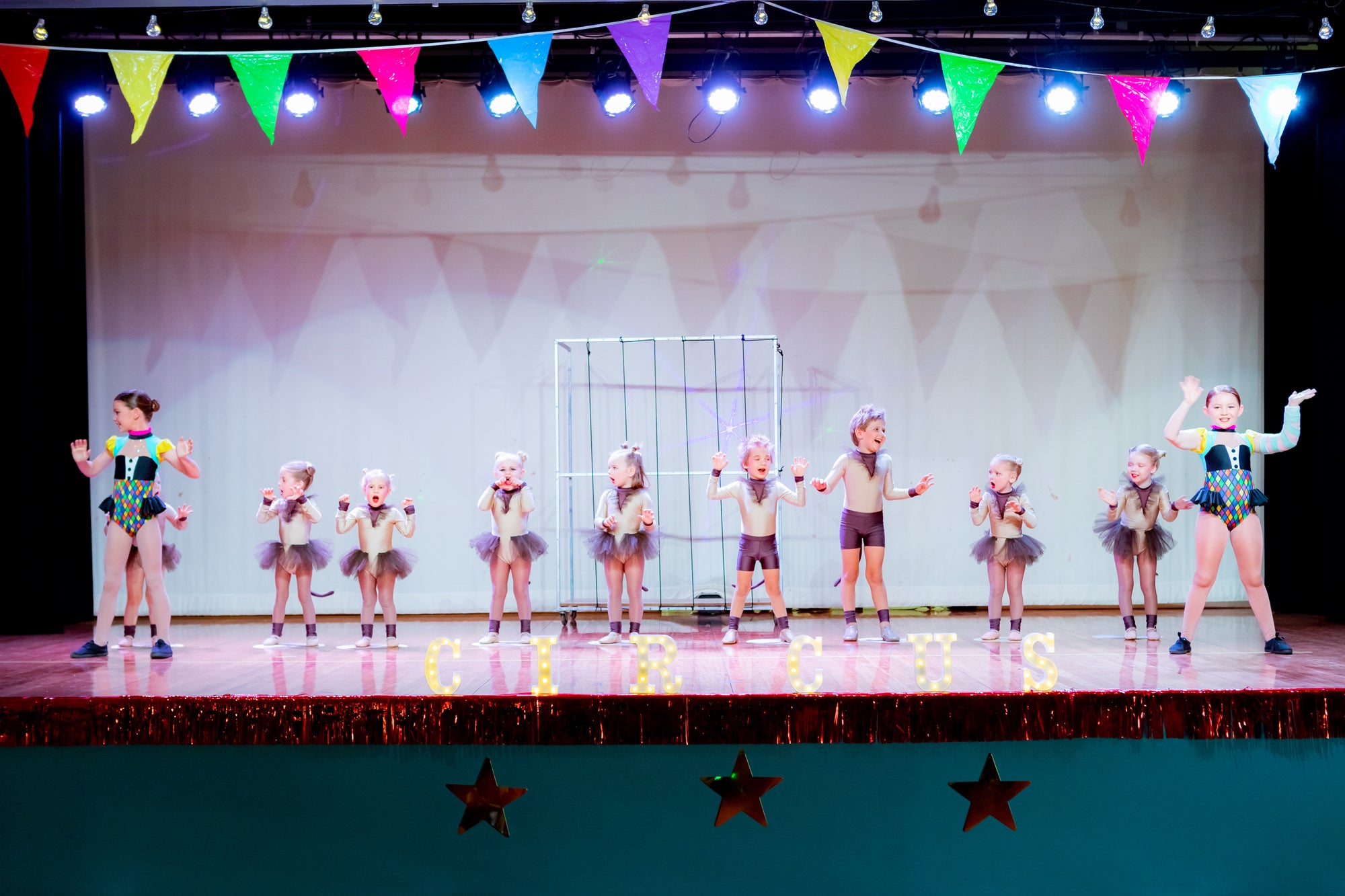 Branches Performing Arts – branchesperformingarts